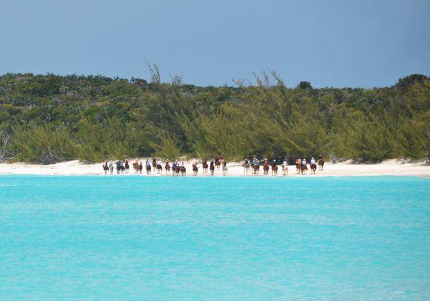 Ultimate Guide to Half Moon Cay Excursions (and Tips!)