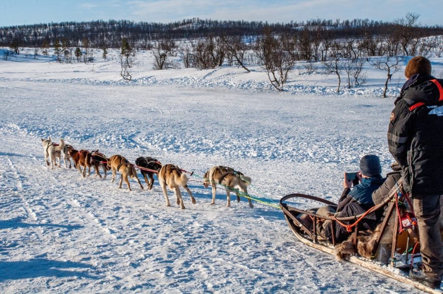 Norway in Winter: A One-Week Itinerary for Seeing the Highlights