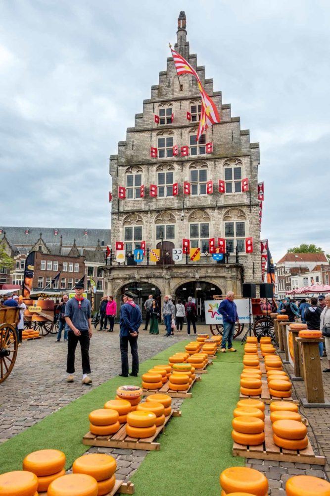 Gouda Cheese Market: Tips for Visiting and More Things to Do