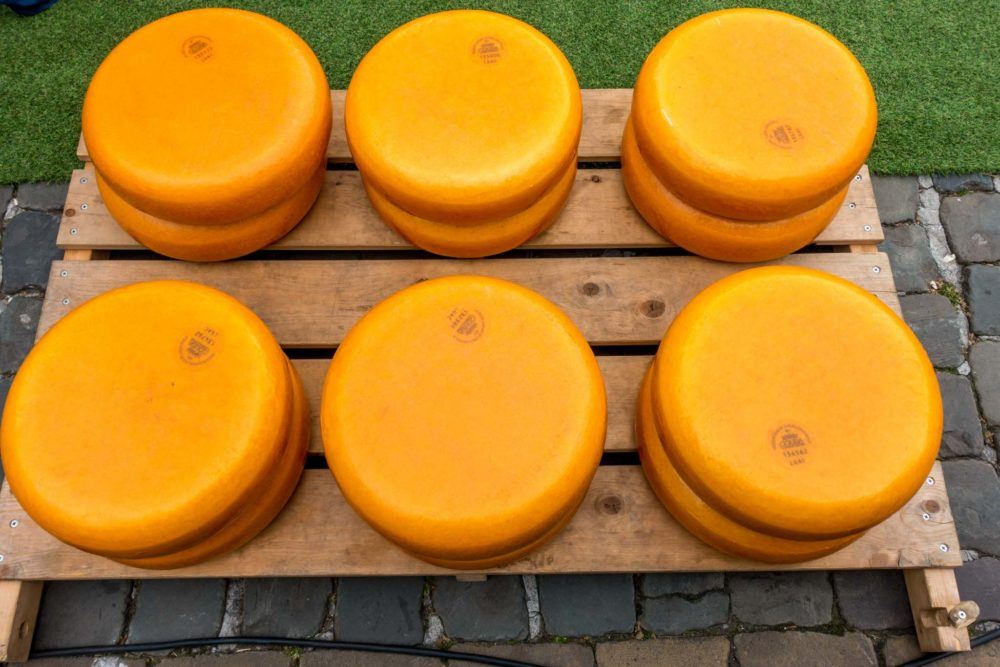 Gouda Cheese Market: Tips for Visiting and More Things to Do